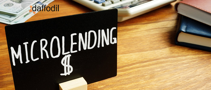 How Do Micro Lending Platforms Work?