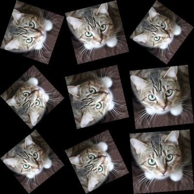 What is Data Augmentation in Deep Learning? Techniques and Applications