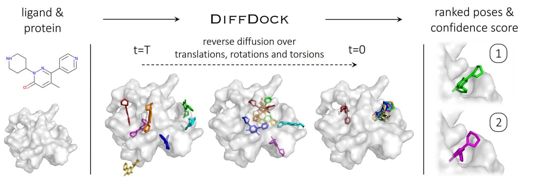Understanding Diffusion Models: Types, Real-World Uses, and Limitations